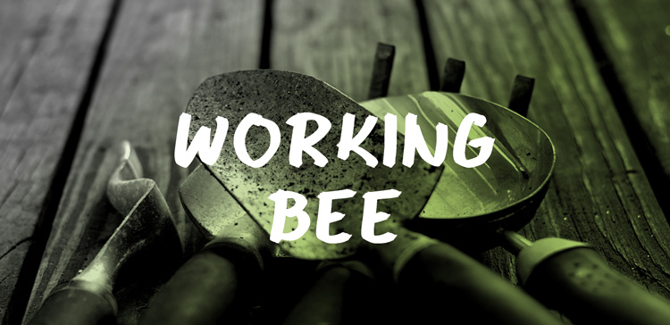 Club Working Bee: October 1st - Canterbury Tennis Club